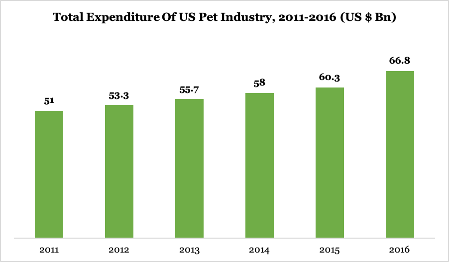 Companion Animal Health Market Size, Share & Growth | Analysis & Trend ...